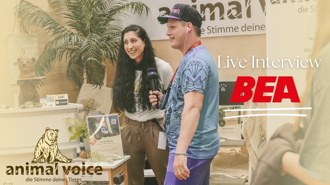 Live Interview — BEA 2024 - YouTube