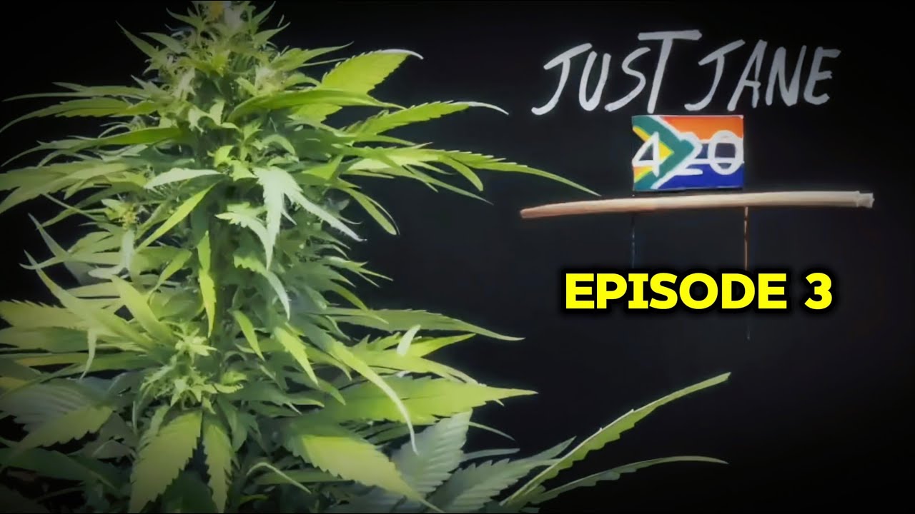 Just Jane Podcast Ep3 - YouTube