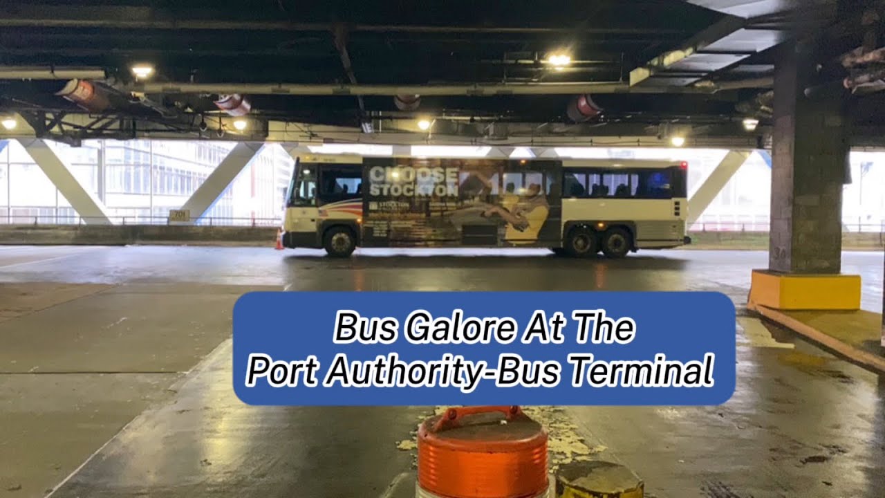 NJ Transit Bus Galore At The Port Authority Bus Terminal. - YouTube