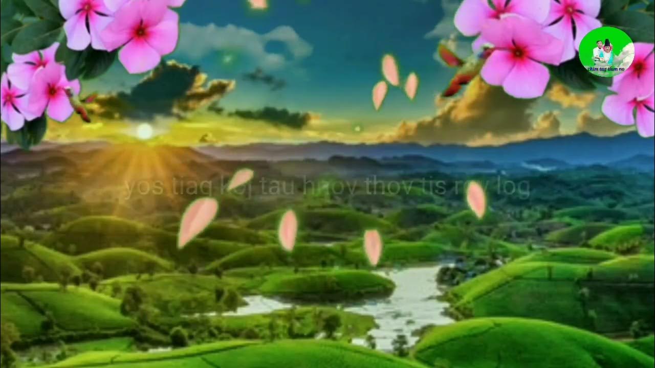 Qab ntug ci ntsa iab karaoke - YouTube