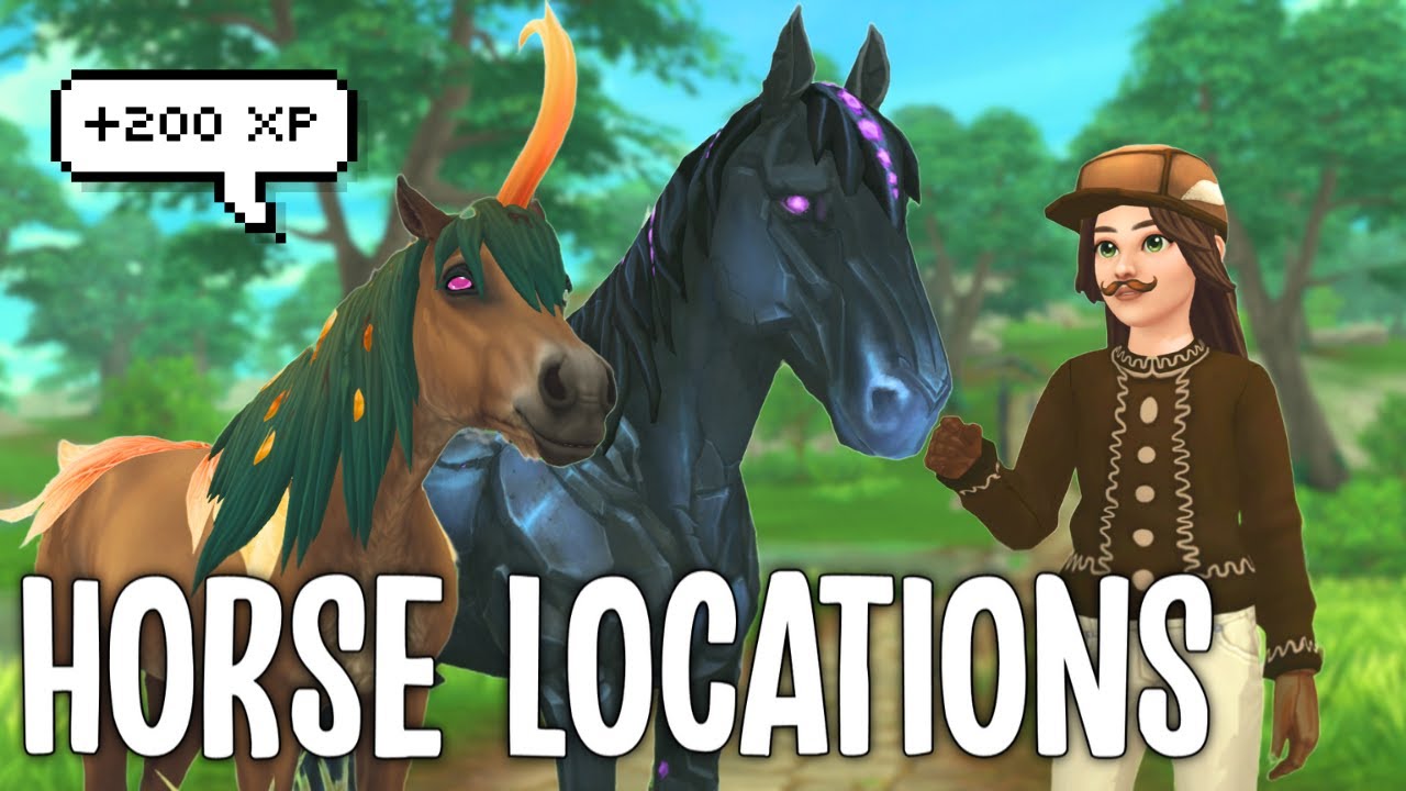 MAGIC HOLLOW WOODS HORSES: LOCATIONS, DISCOUNTS & EXP! HOLLOW WOODS ...