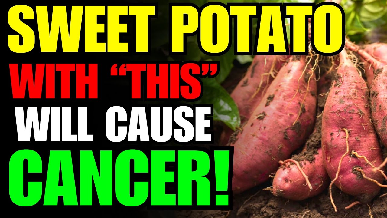 Never Eat Sweet Potato with This 🍠 Cause Cancer and Dementia! 3 Best ...