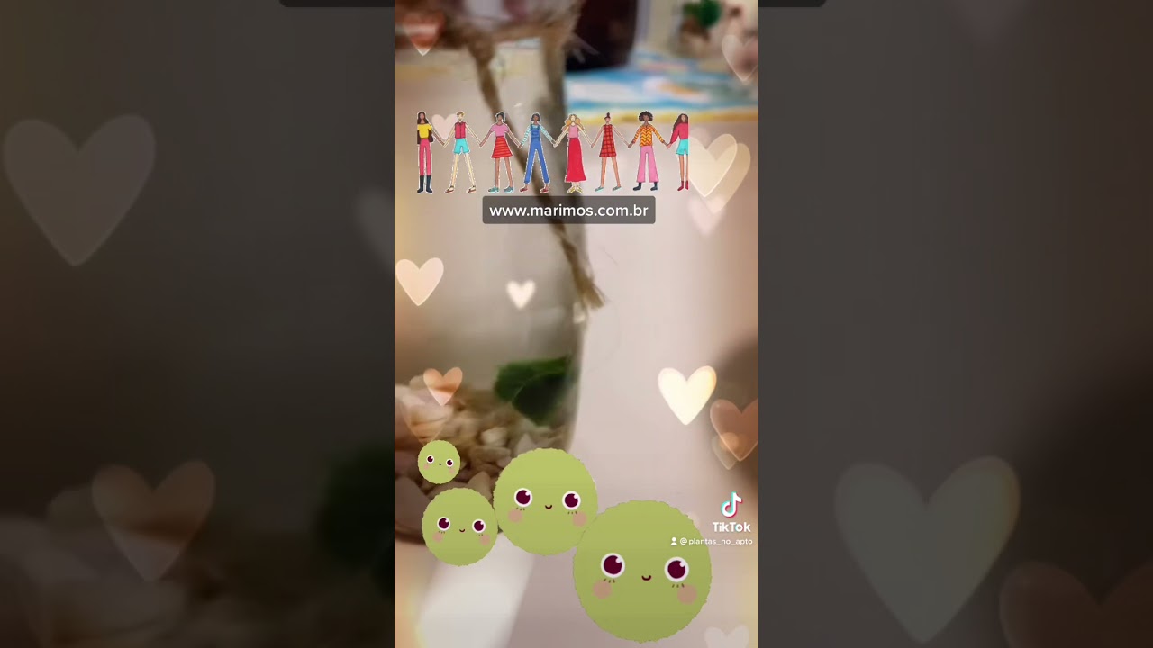 Marimo Moss Ball Dance - YouTube