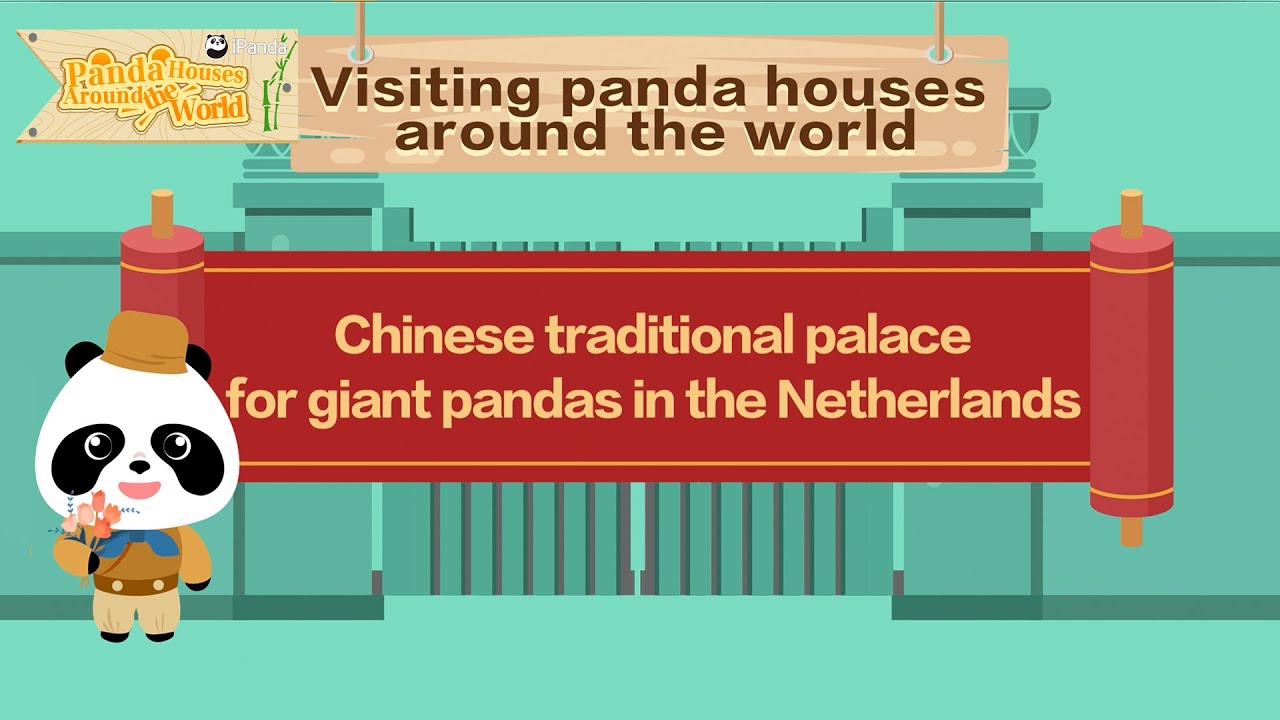 【Panda Houses Around The World】Traditional Chinese Palace For Pandas In ...