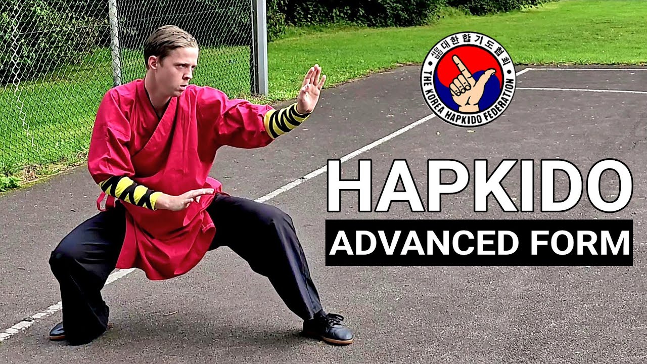 Hapkido Form Advanced | Martial Arts by Wesley Broekhuis - YouTube