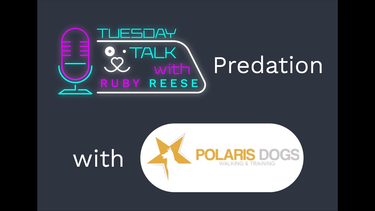Tuesday Talk with Ruby Reese - Predation - YouTube