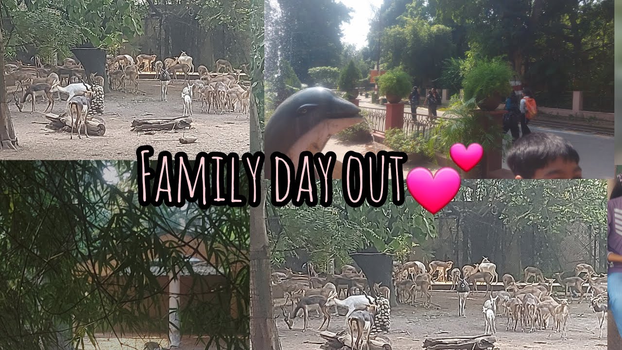 Family day out 💕 ️ - YouTube