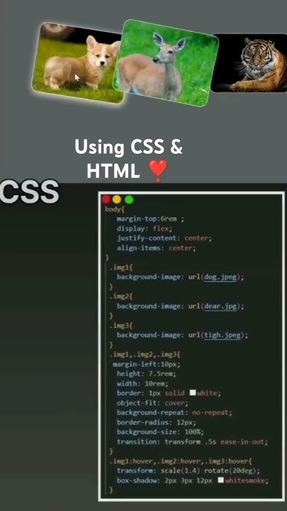 Use Animation With The Help Of Css π Css Html Coding Popular Trendingshorts Shorts