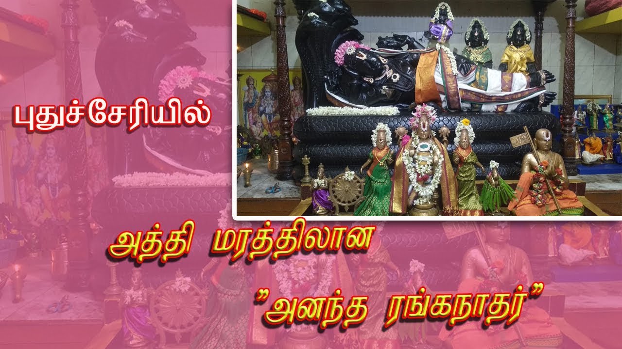 புதுச்சேரியில் அத்தி மரத்திலாலான அனந்த ரங்கநாதர் - Athi maram Anandha ...