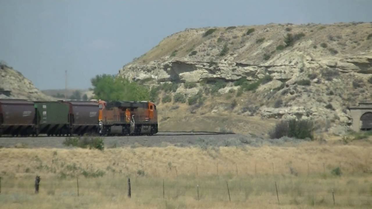 BNSF 7180 / 7010 Custer, MT grain train - YouTube