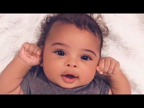 TG/TF FUSION PART 9 - YouTube