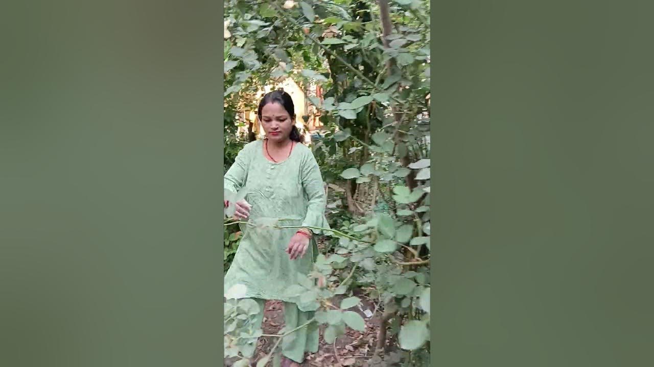 Good morning everyone ️ Poonam Hemant Verma - YouTube