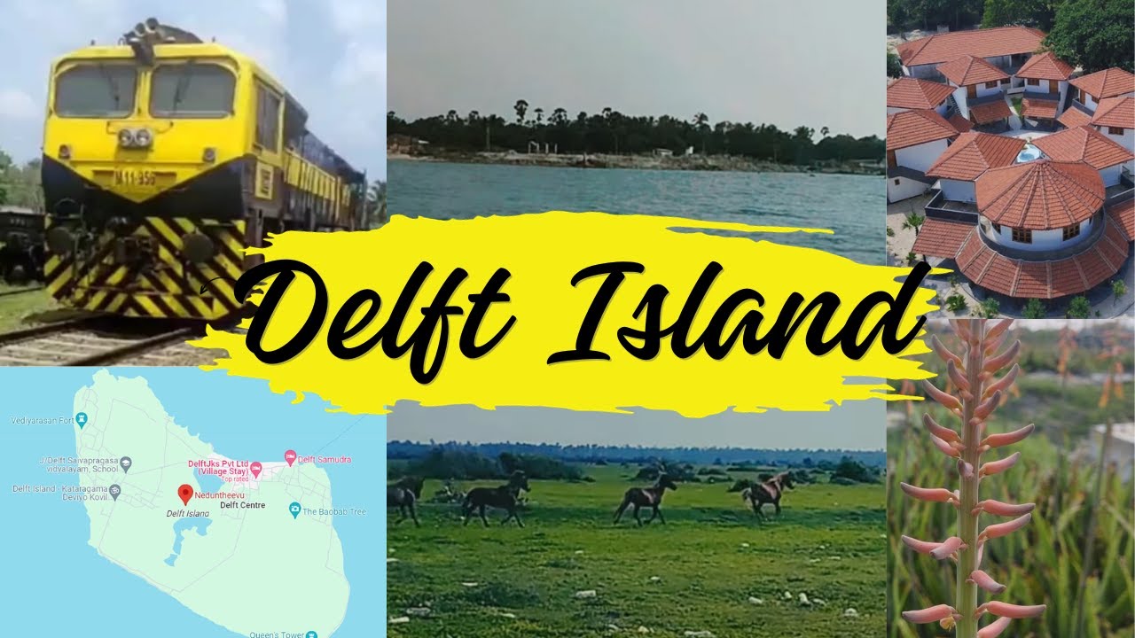 Delft island Tour : Colombo To Delft Via Train, Bus, And Ferry! # ...