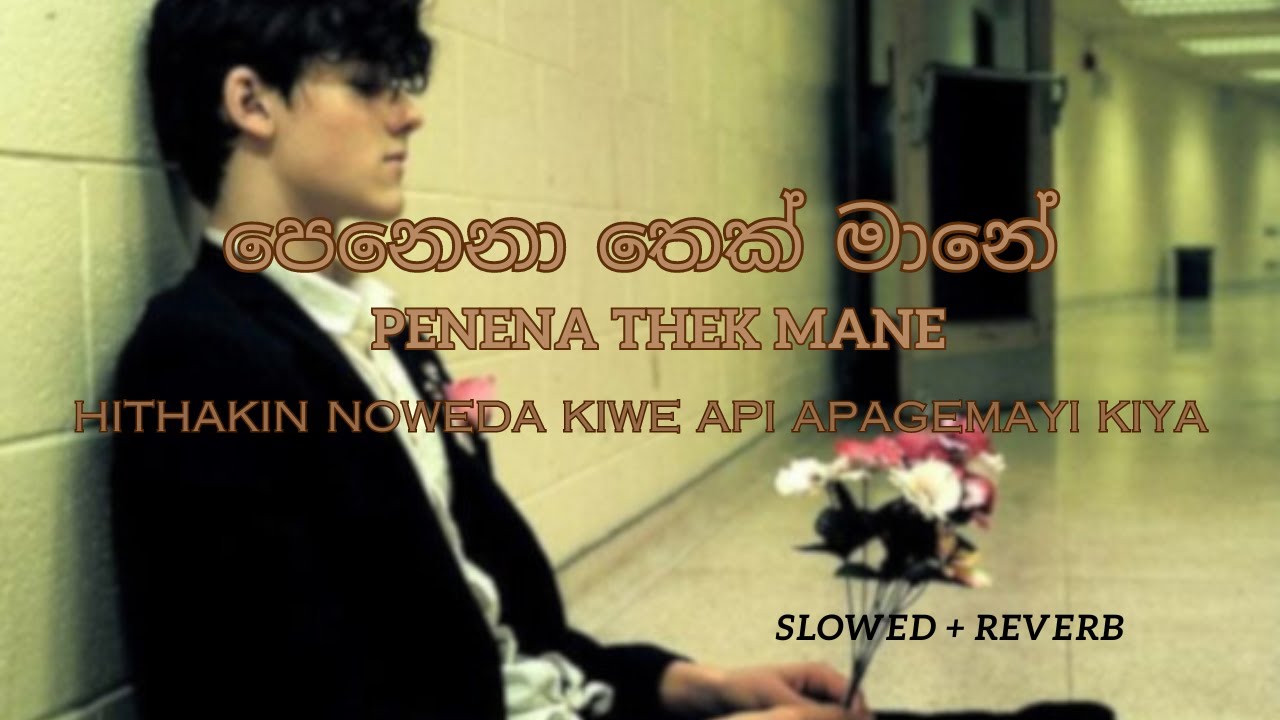 Penena Thek Mane | Hithakin noweda kiwe api apagemayi kiya | පෙනෙනා ...