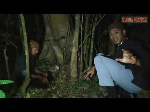 perwujudan mustika || sosok penghuni hutan Telaga Bidadari ||