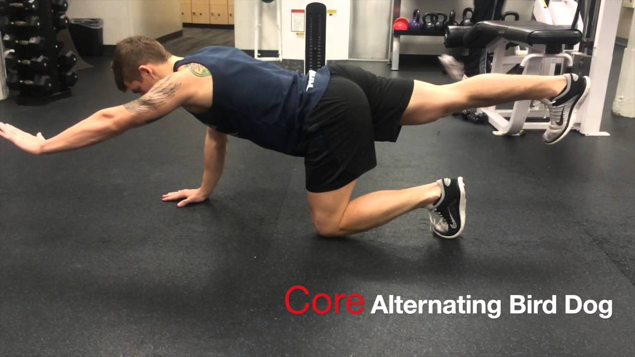 Core- Alternating Bird Dog - YouTube