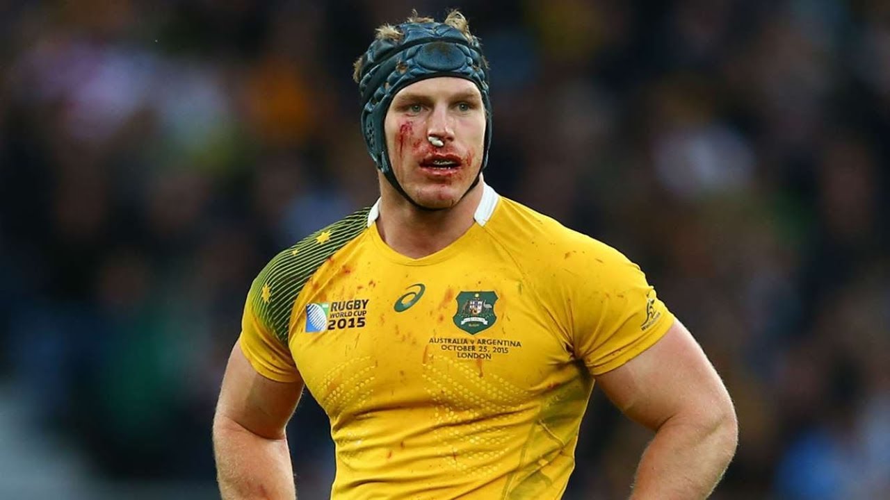 David Pocock Highlights - YouTube