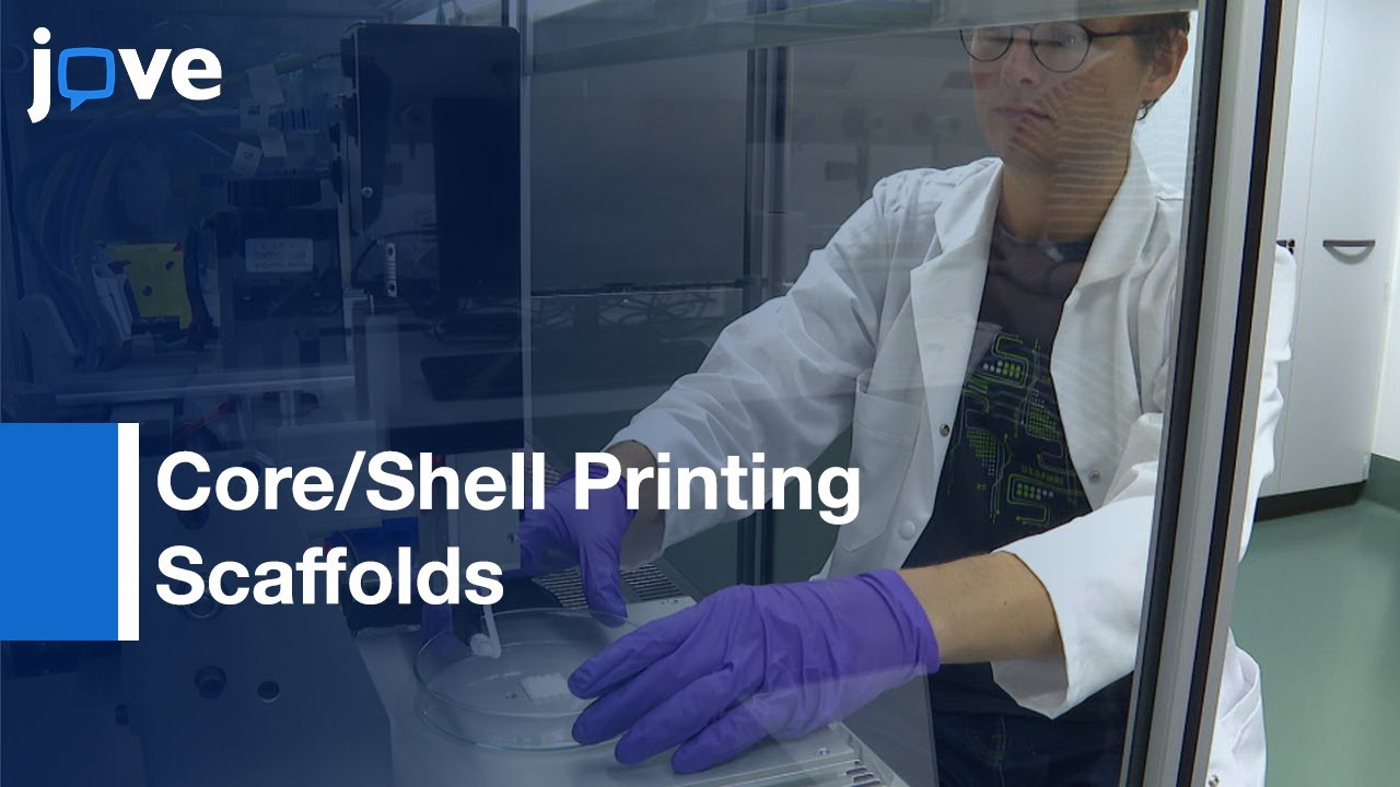 Core/Shell Printing Scaffolds For Tissue Engineering Of Tubular ...