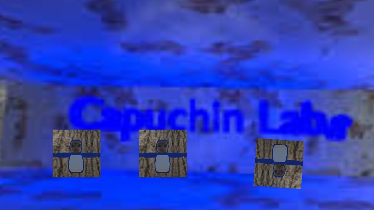 capuchin vr old yay - YouTube