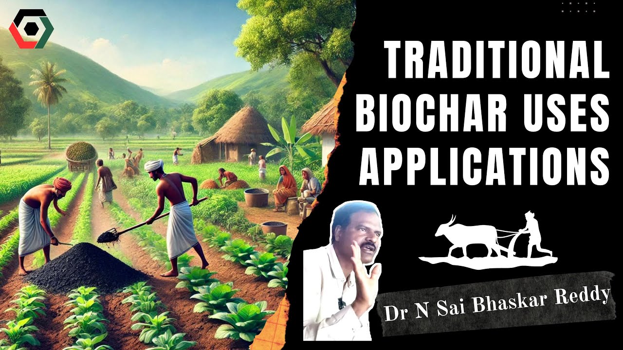 Traditional Biochar Uses and Applications: Unlocking Ancient Practices ...
