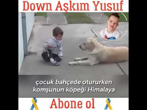 Down sendromlu çocuğa köpeğin yaklaşma tarzı onu nasıl anladığını gözler önüne seriyor..#downaşkım