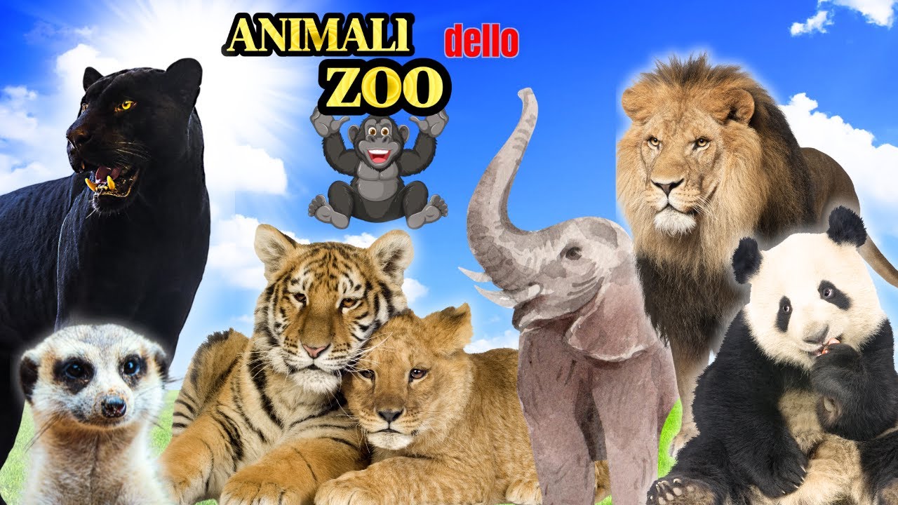 ANIMALI DELLO ZOO: Curiosità e Caratteristiche - Animali più ...