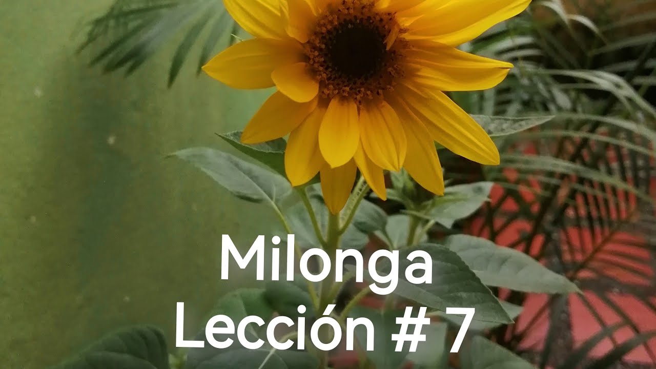 milonga lección # 7 - YouTube