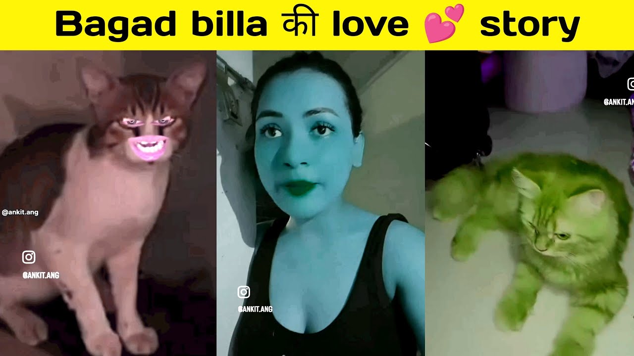 bagad billa की लव स्टोरी/ लुटेरा बिल्ला bagad billa new video comedy # ...