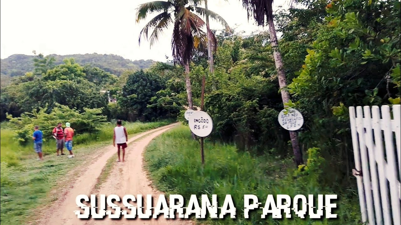Puxada em: SUSSUARANA PARQUE - YouTube