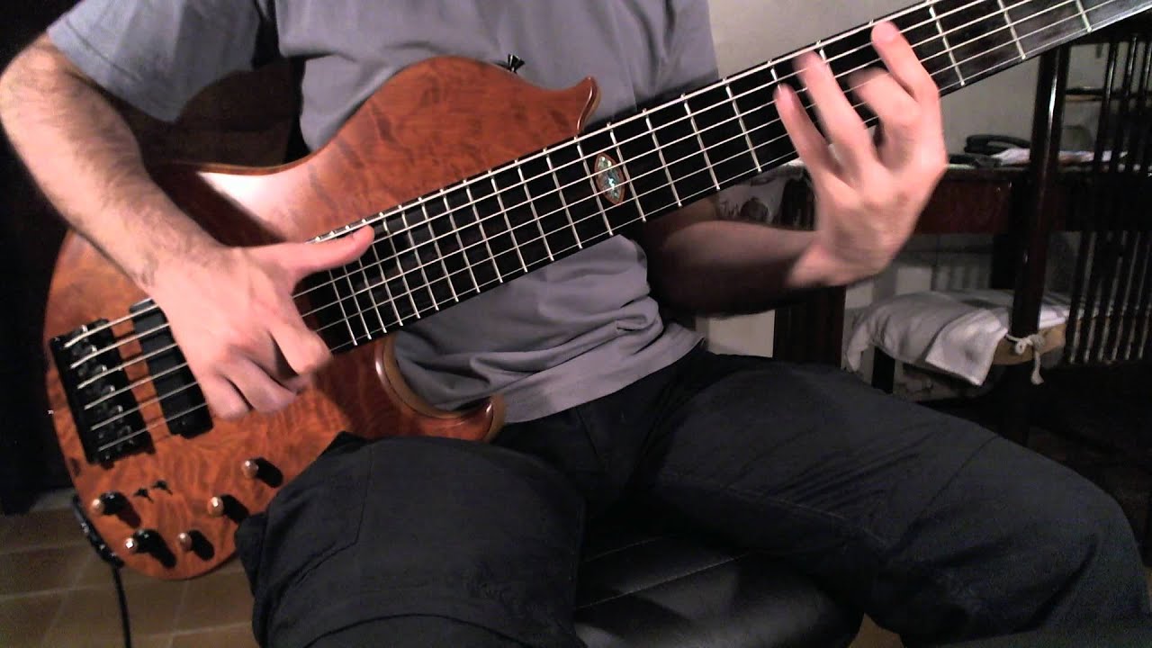 Delano bass pickups SBC 6 HE/S-4 soapbars PARALLEL/SINGLE/SERIES - YouTube