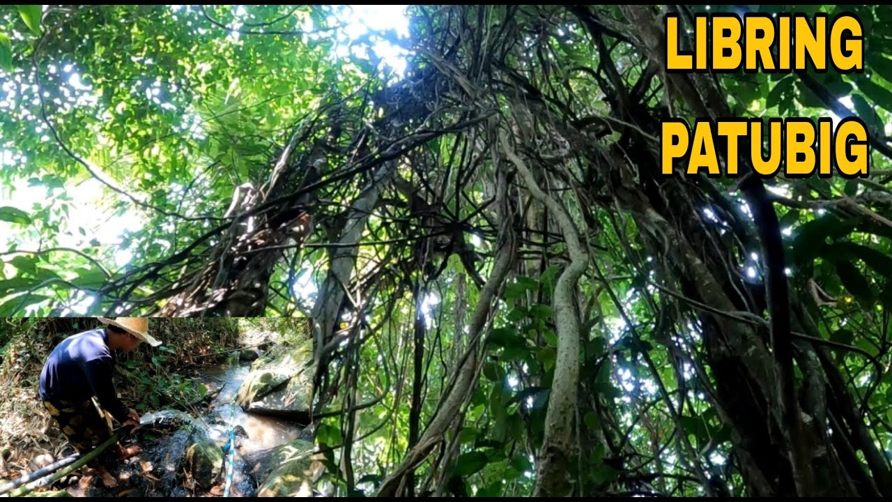 PAG SULSUG NG TUBIG PARA SA BABOYAN AT HALAMAN - YouTube