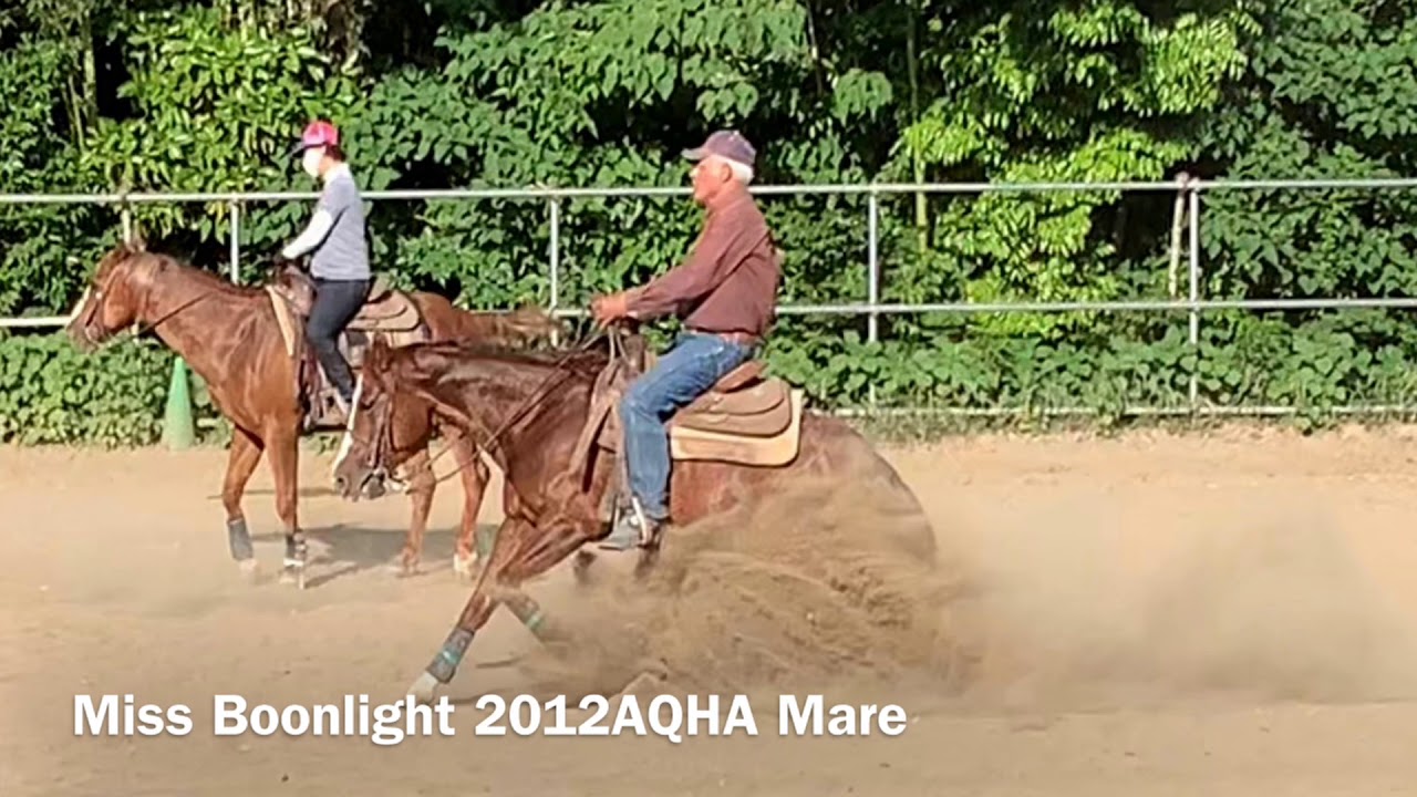 Miss Boonlight 20190608 - YouTube