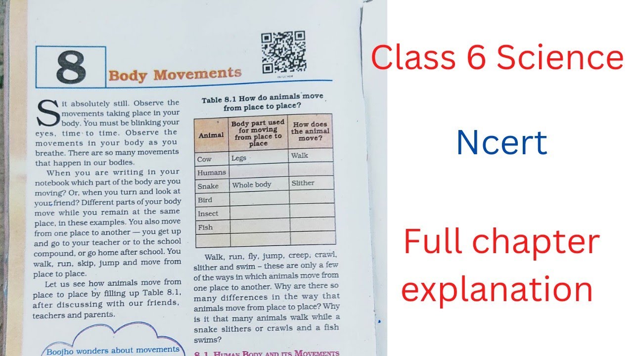 Body movements class 6 science ncert||learn with Babli|| #6class #ncert ...