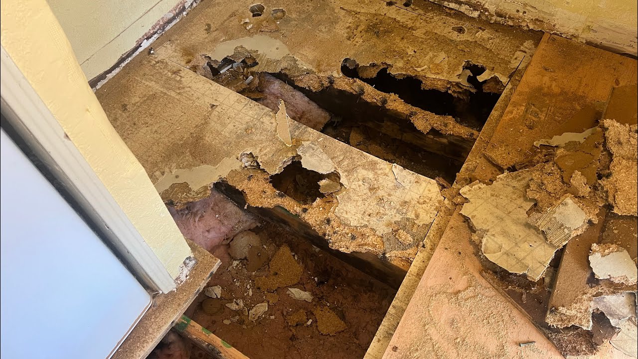Replacing damaged subfloor - YouTube