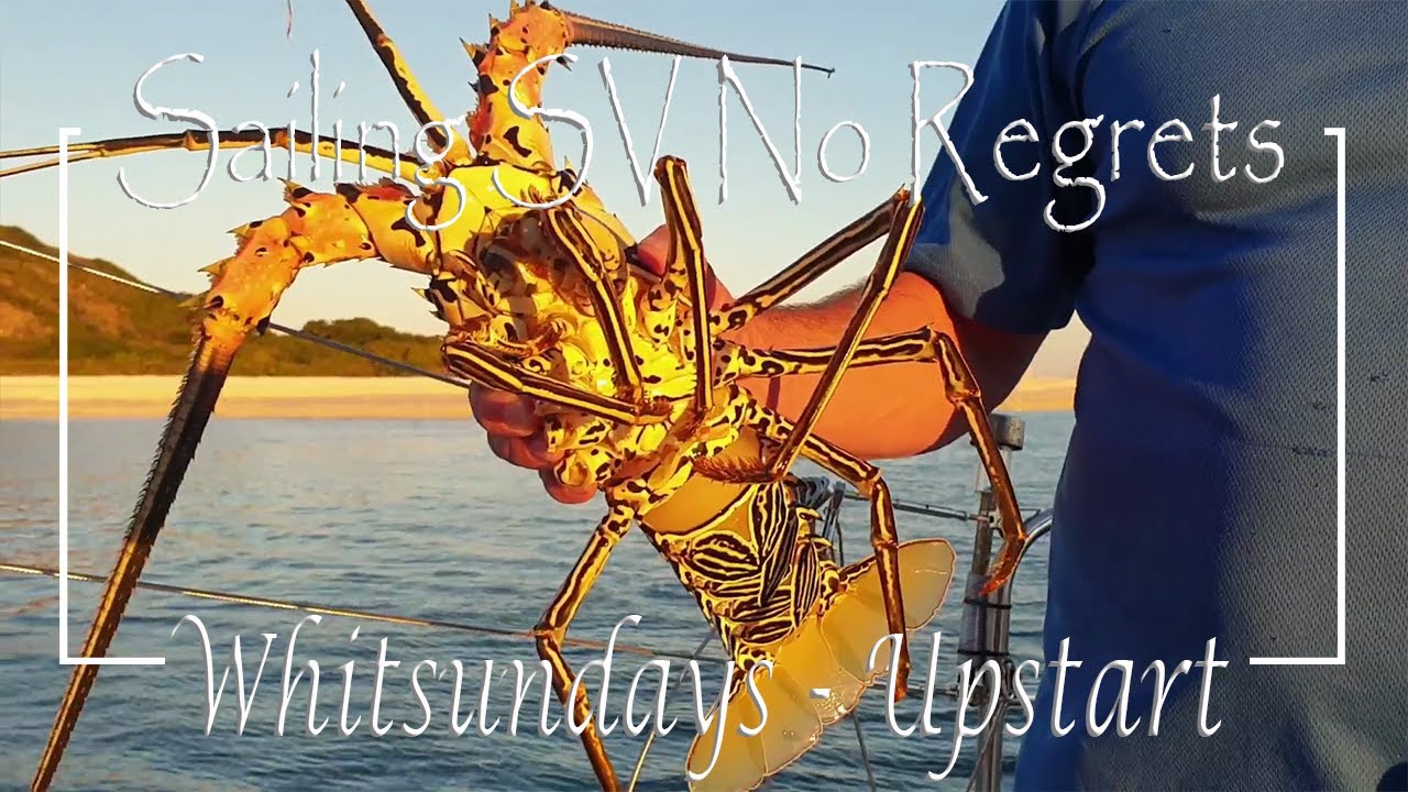 E29 - Painted cray for dinner, Whitsundays to Cape Upstart - YouTube