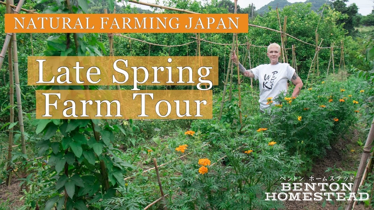 Late Spring Farm Tour » Natural Farming Japan » Ōmishima, Imabari ...