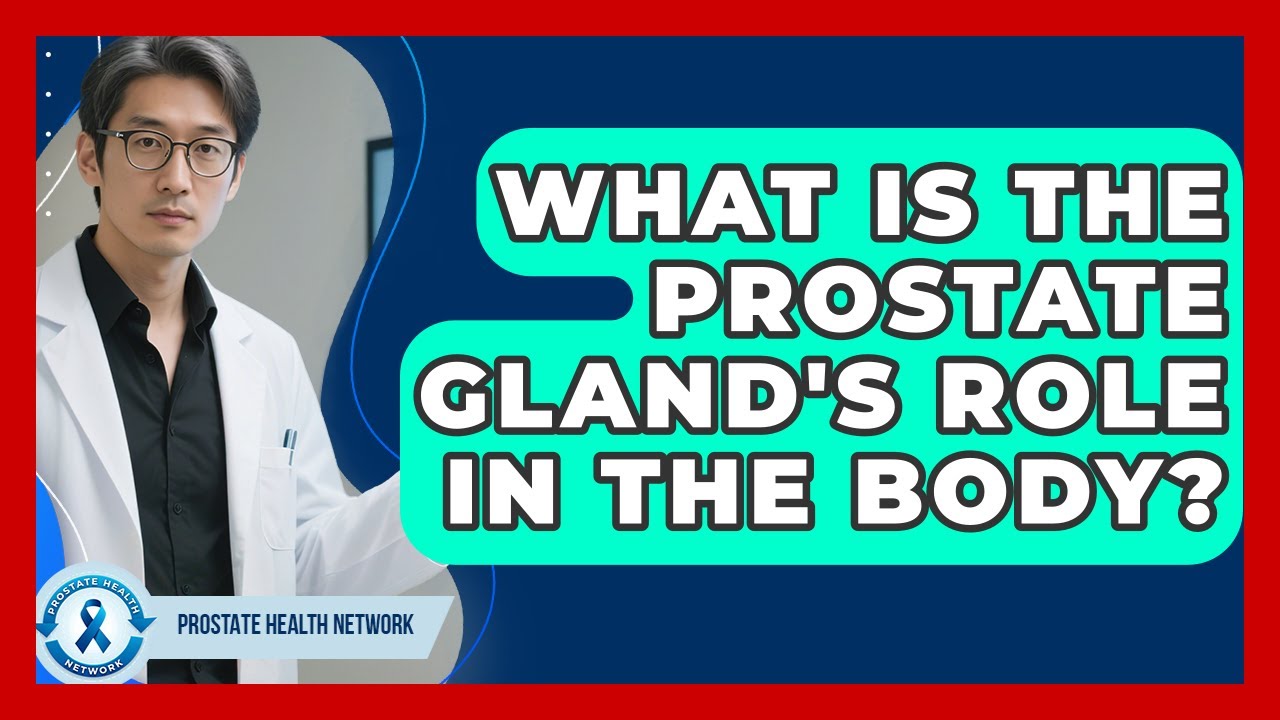 What Is The Prostate Gland's Role In The Body? - Prostate Health ...