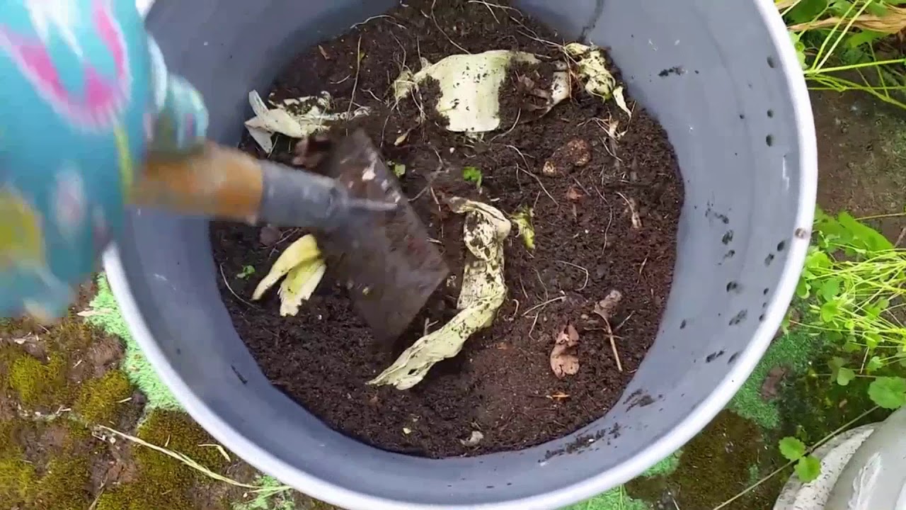 How To Direct Compost - Containers or Garden Beds - YouTube