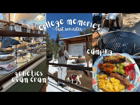 STUDY VLOG 🏕📚 genetics exam, camping, snow at julian