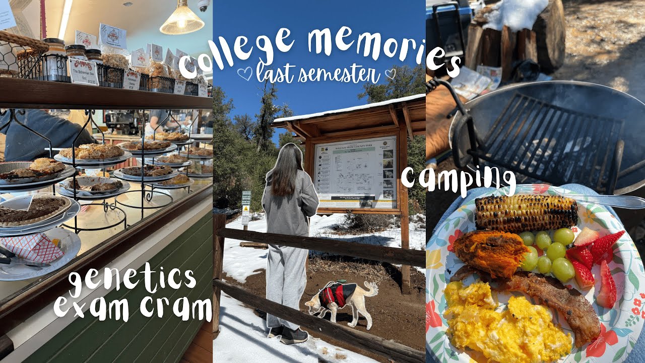 STUDY VLOG 🏕📚 genetics exam, camping, snow at julian - YouTube