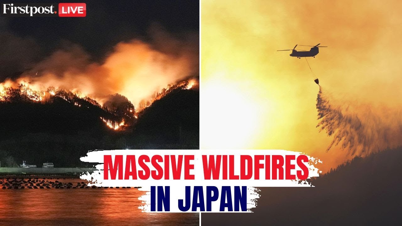Japan Wildfires LIVE: Thousands Forced to Evacuate as wildfires Break ...