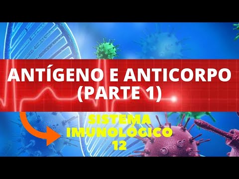 ANTÍGENO E ANTICORPO (PARTE 1) - (AULA DE IMUNOLOGIA) SISTEMA IMUNOLÓGICO