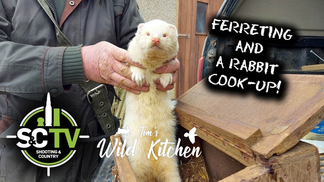S&C TV | Tim's Wild Kitchen 10 | Ferreting for rabbits + rabbit recipe ...