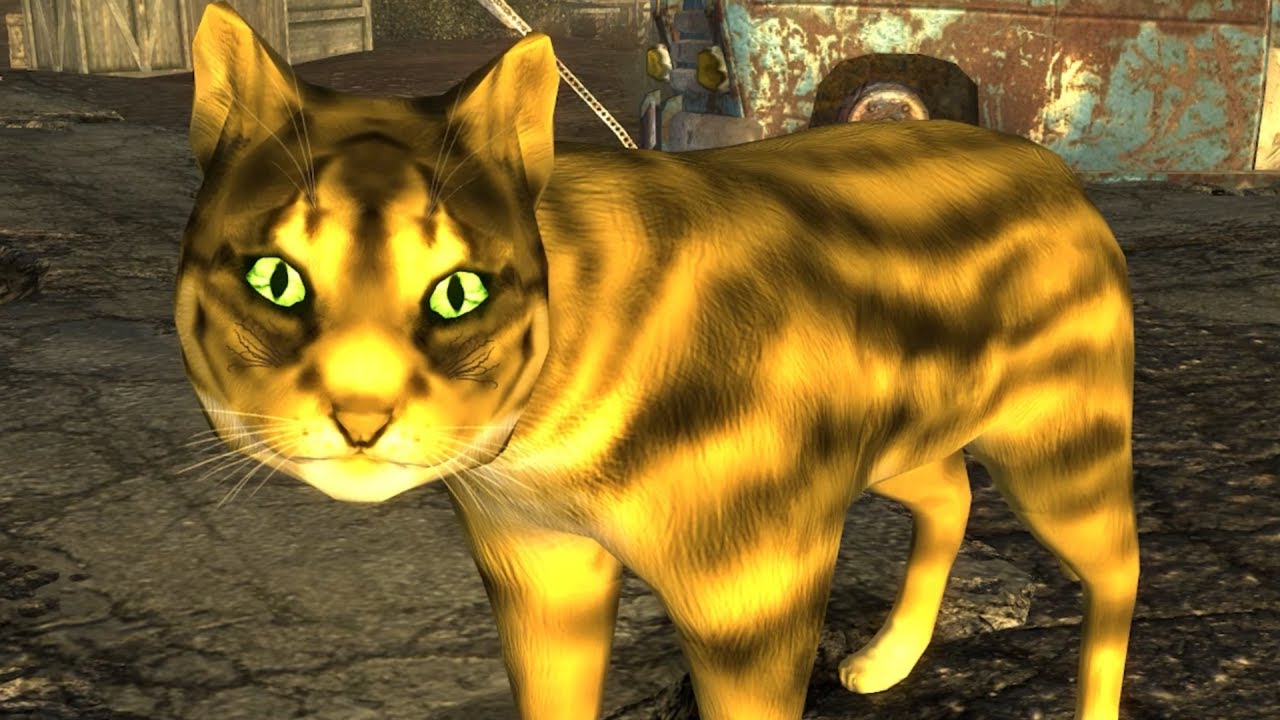 You Can Adopt Pet Cats in Fallout New Vegas - YouTube