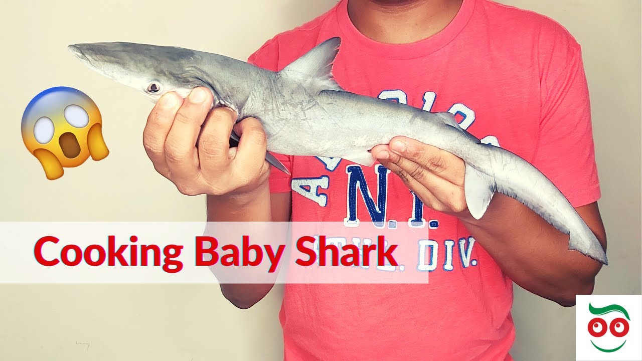 Shark Recipe | Cooking Shark | Shark Fish Recipe | Sea Food Recipe ...
