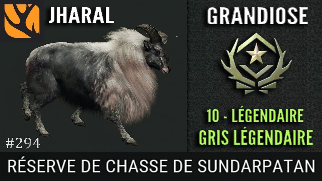 THE HUNTER CALL OF THE WILD | CONCOURS | #294 UNE CHASSE AU JHARAL ...