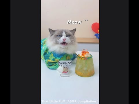 ASMR collection1 | That Little Puff Compilation