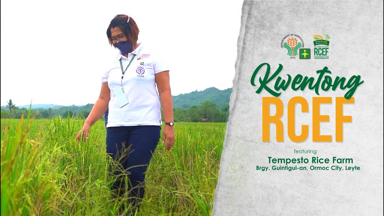 Kwentong RCEF - Tempesto Rice Farm - YouTube