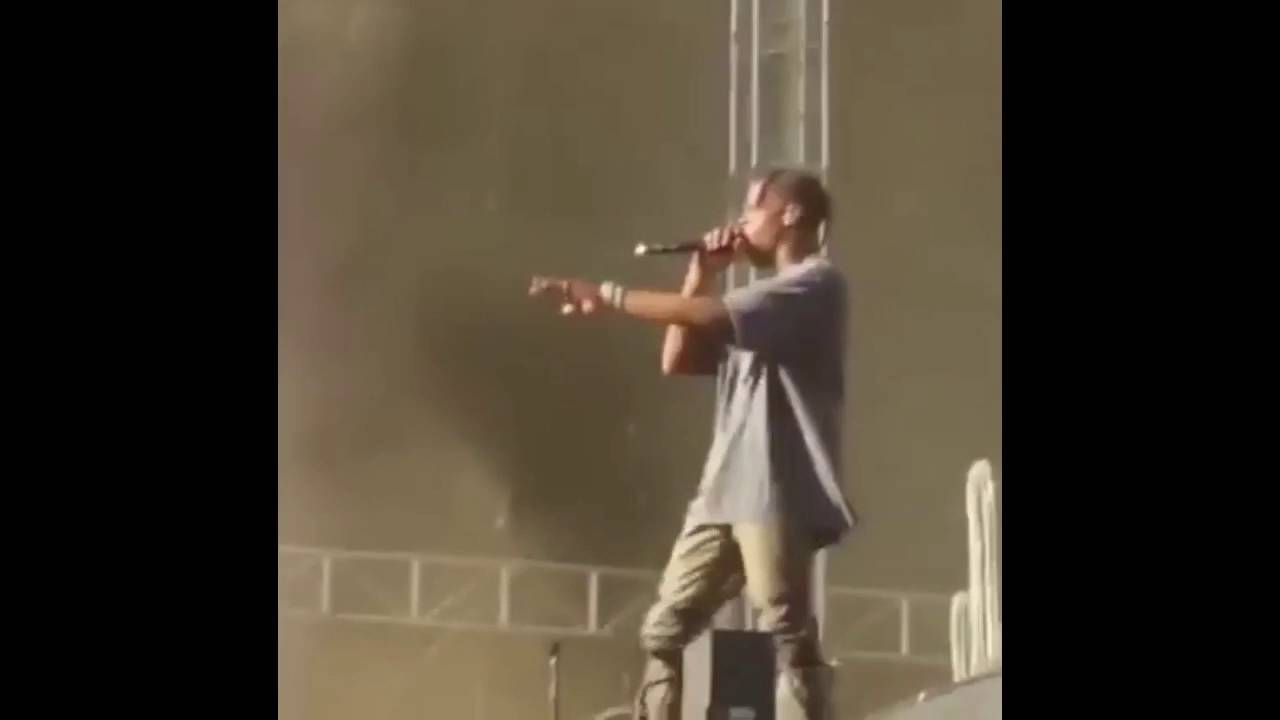 Travis Scott performs Antidote .. ON A TREE 🍃🍃🍃 #BirdsInTheTree ( if ...