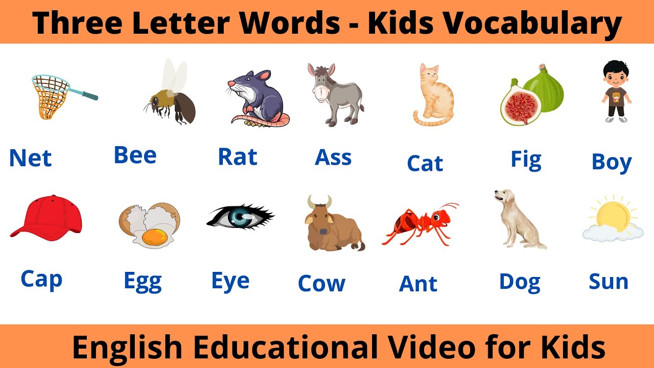 3 Letter Words - Three Letter Words in English - English Educational ...